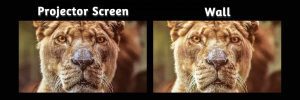 Projector Paint vs Screen – Which One is Best for You?