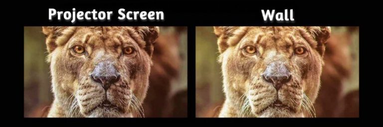 Projector Paint vs Screen – Which One is Best for You?