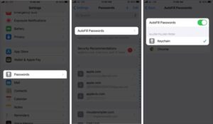 How To Add A Password To Iphone Autofill: Detailed Guide (2026)