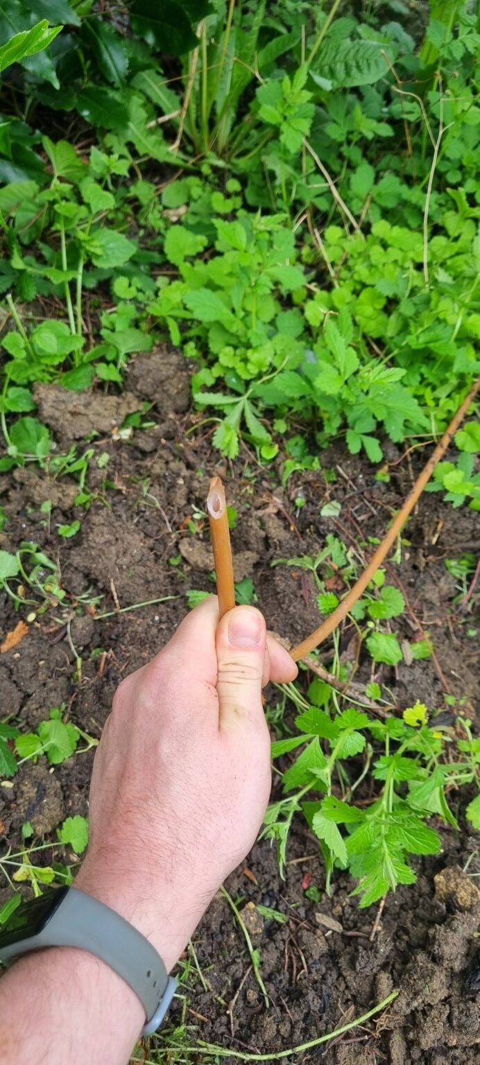 Accidentally Cut Internet Cable Outside Spectrum: A Troubleshooting ...