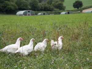 Is Spectrum Bad for Gaming? Unmasking the Truth (2025)