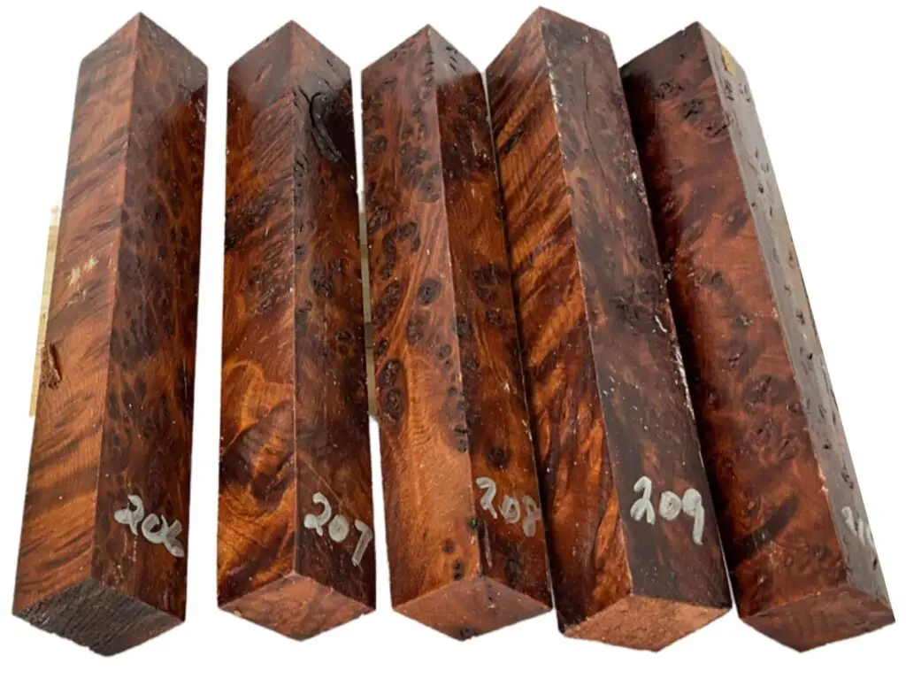 Spectrum 201 Vs 210 : Which Model Takes the Crown? (2025)