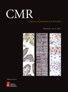 Spectrum Ref Code Rlp-999: Unraveling the Mysteries and Solutions (2025)