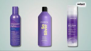 Spectrum Silver Vs Select: Uncovering the Ultimate Entertainment ...