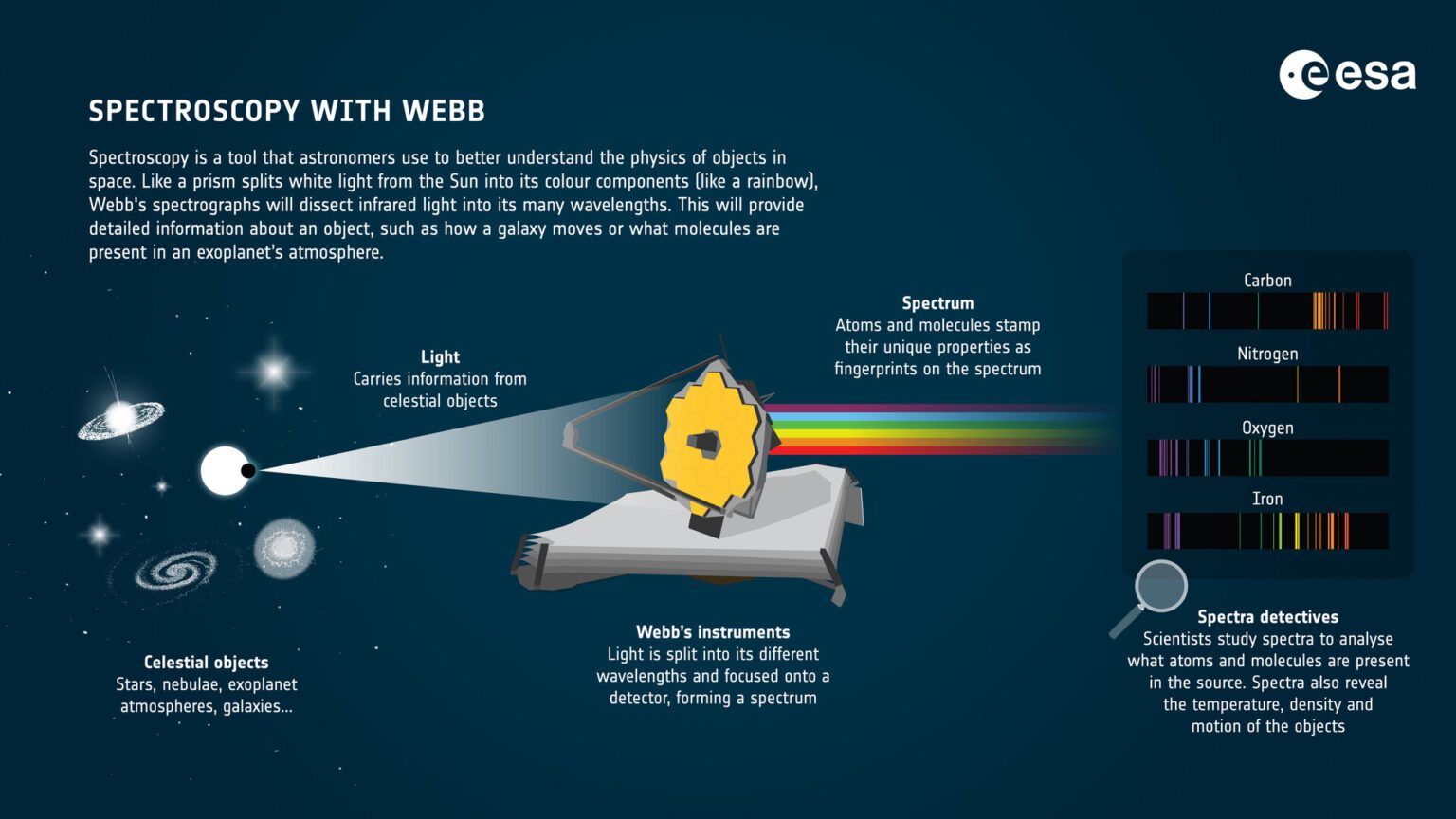 What Information Does a Star's Spectrum Offer About the Star: Revealing ...